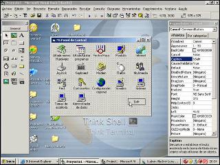 Visual Basic: Visual Basic
